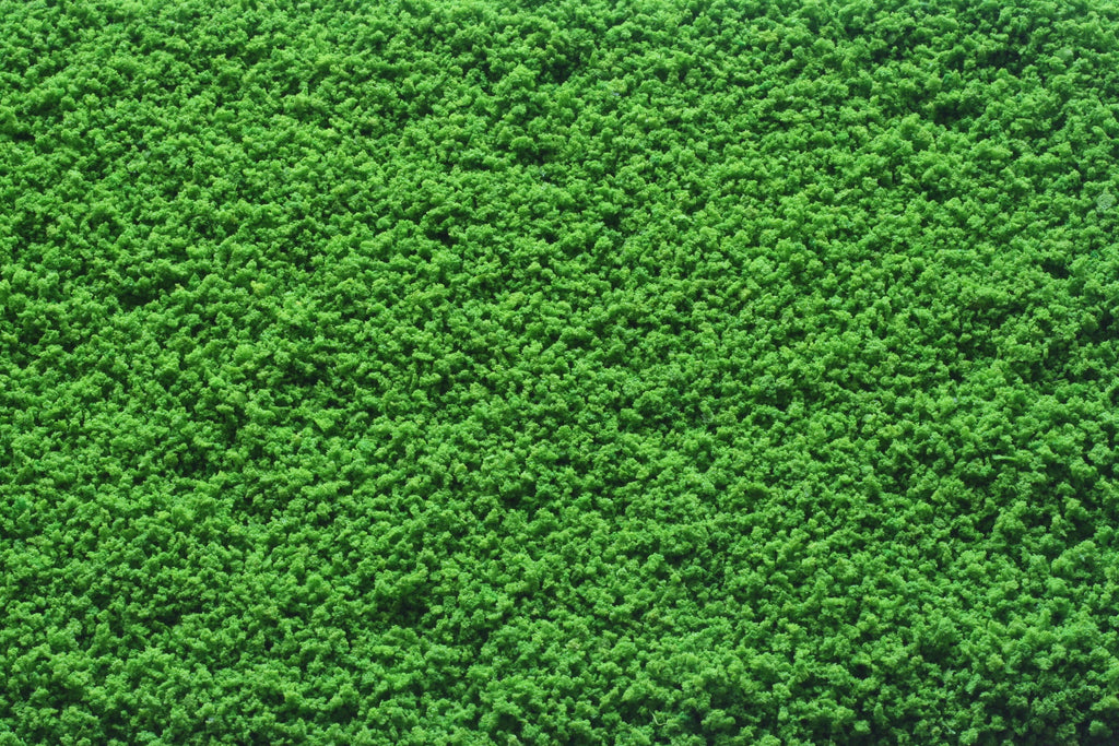 Clumped Foliage Scatter Material - Ground / Tree Cover 30g – Scalology Ltd.